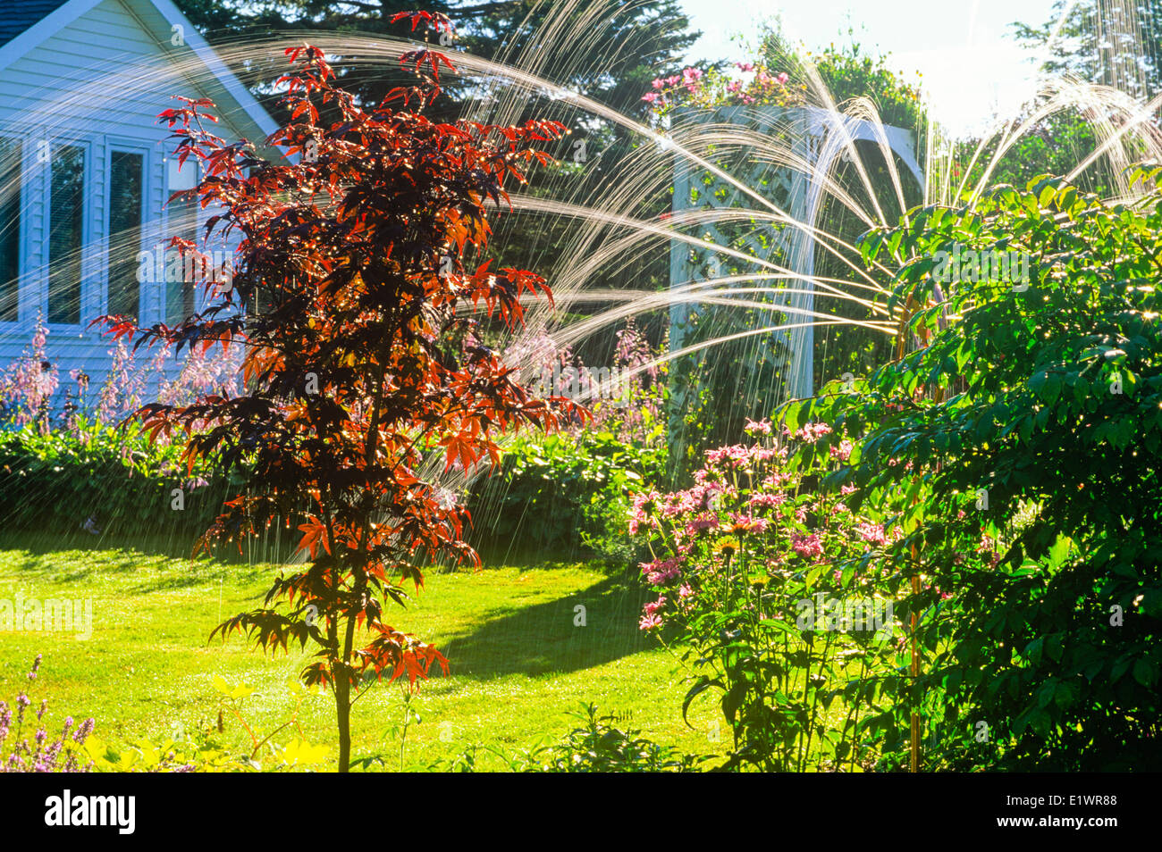Garden sprinkler hi-res stock photography and images - Alamy