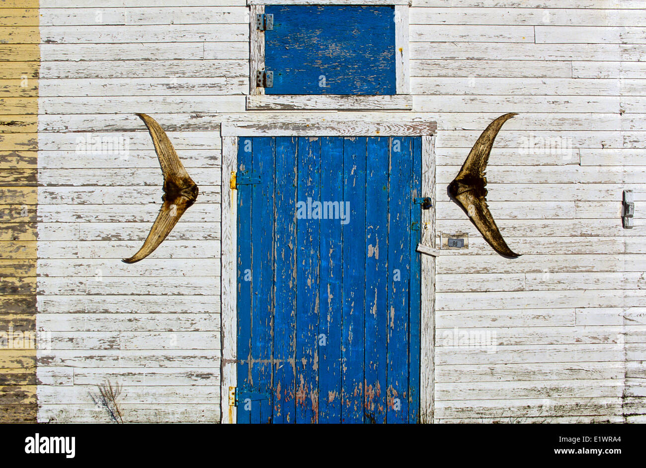 Shed Tail High Resolution Stock Photography and Images - Alamy