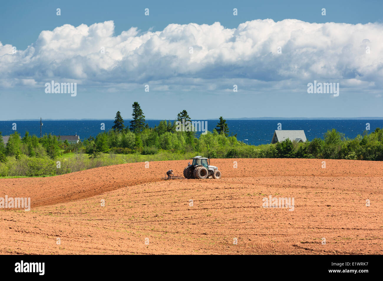 Spring planting, Northport, Nova Scotia, Canada Stock Photo - Alamy