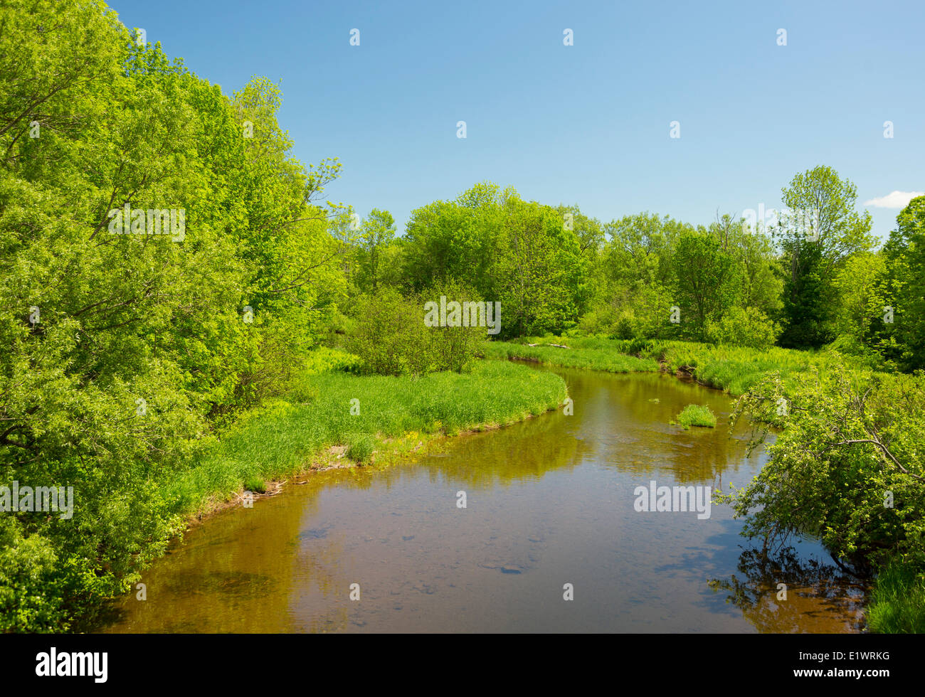 Waughs River, Colchester County, Nova Scotia, Canada Stock Photo - Alamy