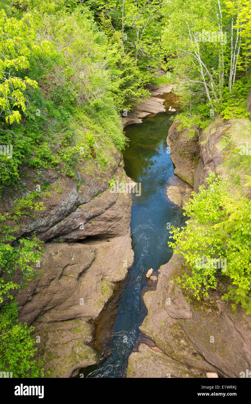 Colchester county hi-res stock photography and images - Alamy