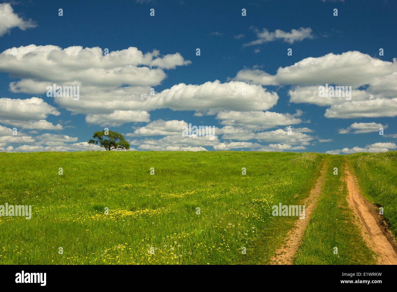 Stewiacke hi-res stock photography and images - Alamy