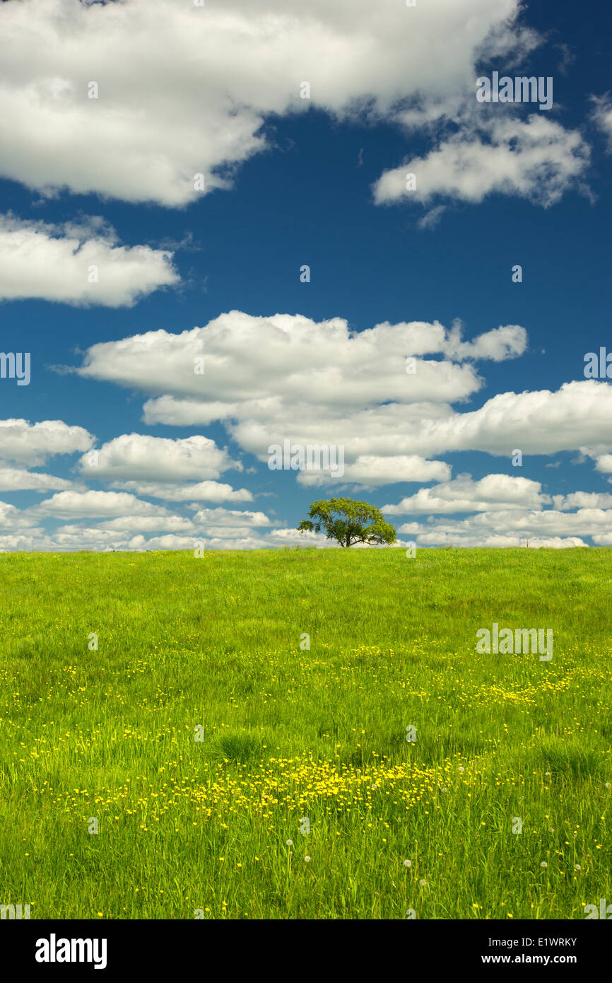 Stewiacke nova scotia hi-res stock photography and images - Alamy