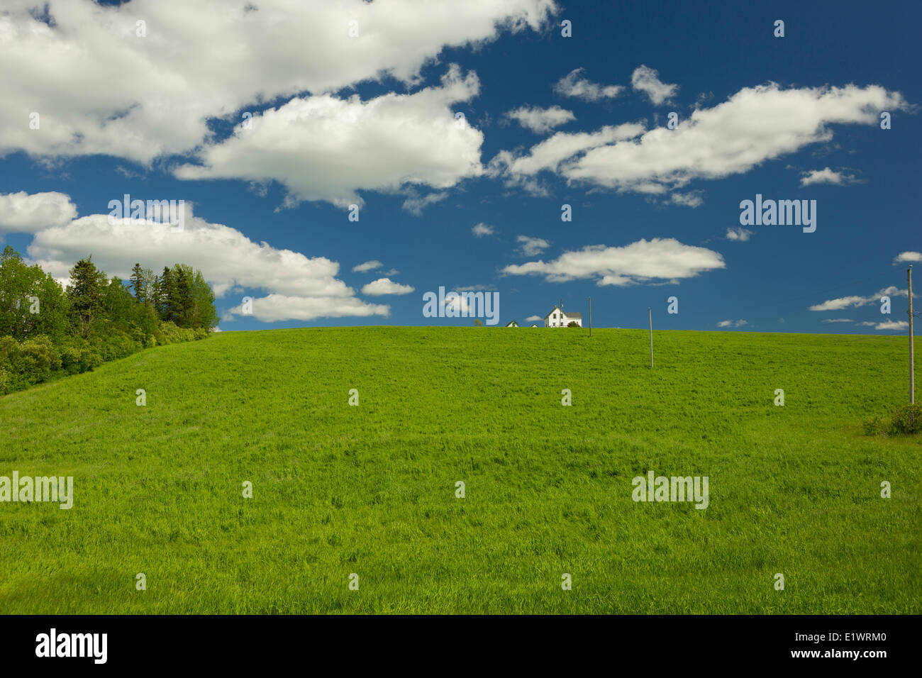 Farmhouse, Maple Grove, Nova Scotia, Canada Stock Photo - Alamy