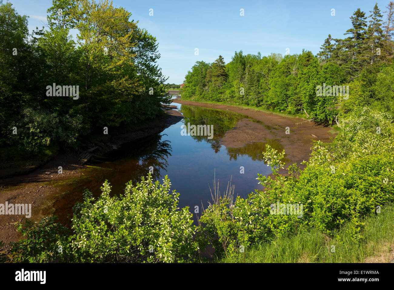 Semple creek hi-res stock photography and images - Alamy