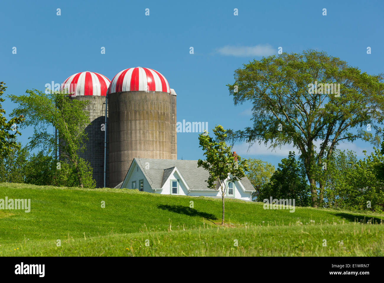 Farm, Maple Grove, Schubenacadie, Nova Scotia, Canada Stock Photo - Alamy