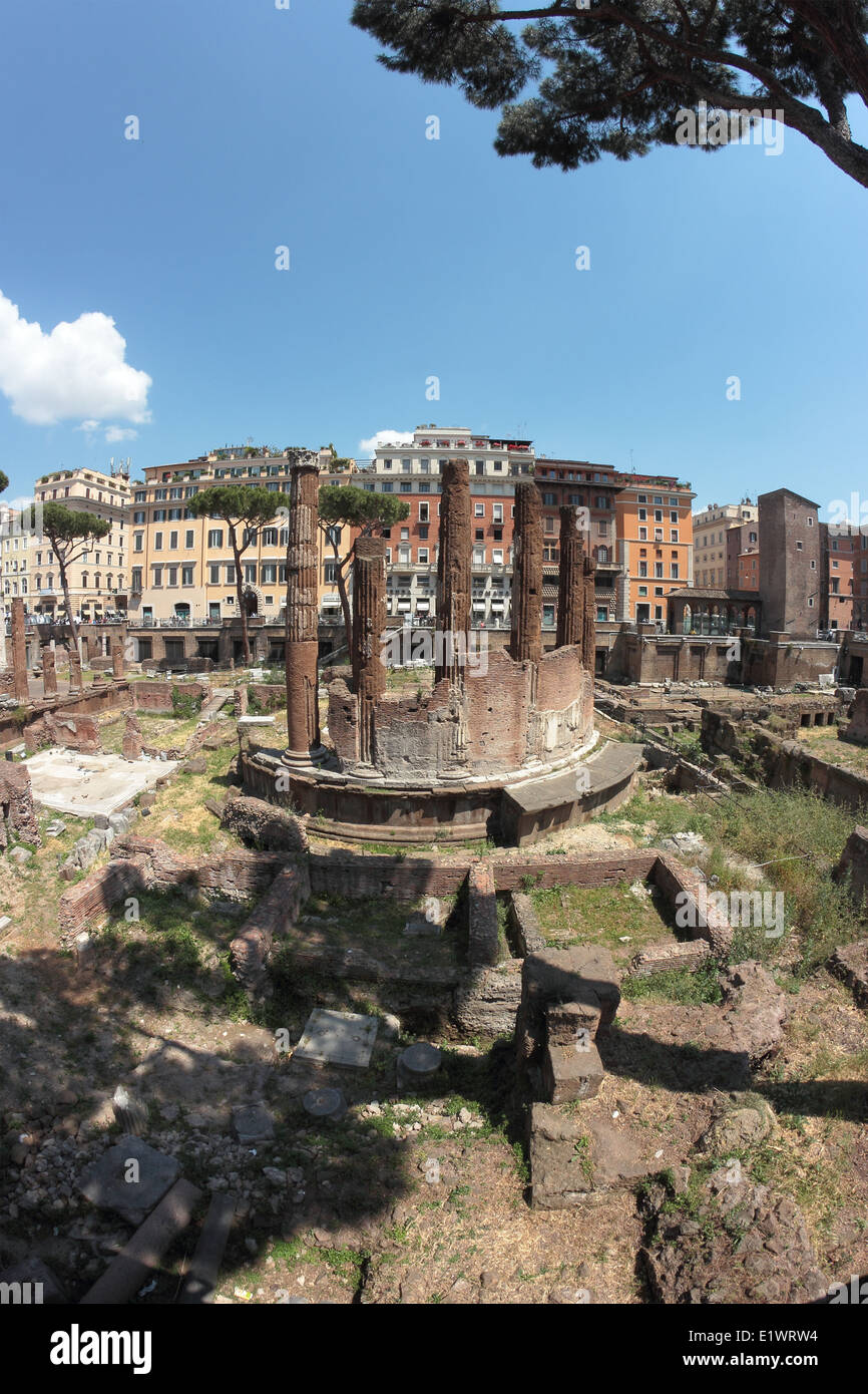 ancient roman ruins in campus Martius, Largo di Torre Argentina, Rome ...