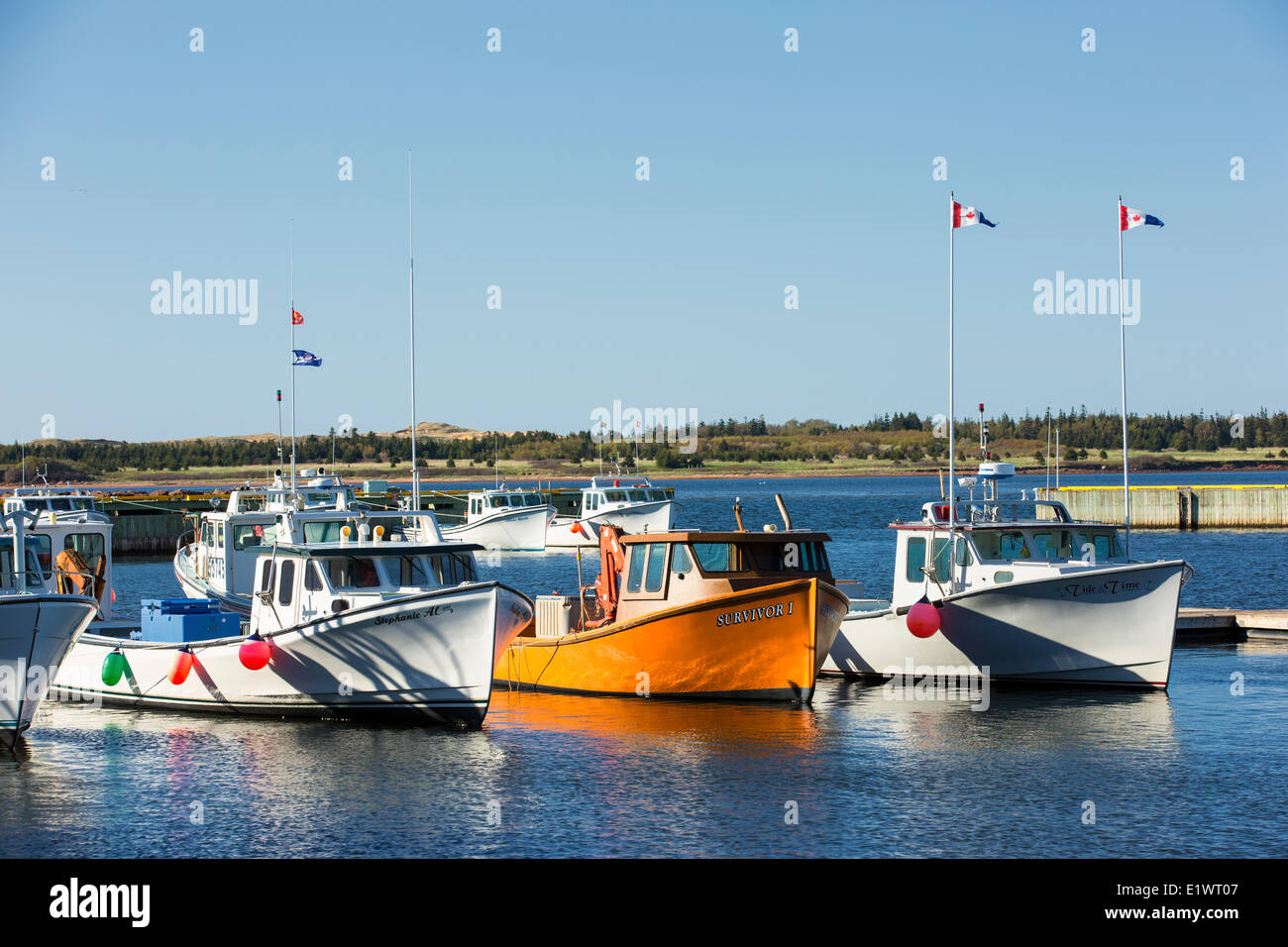 Tied head hi-res stock photography and images - Alamy