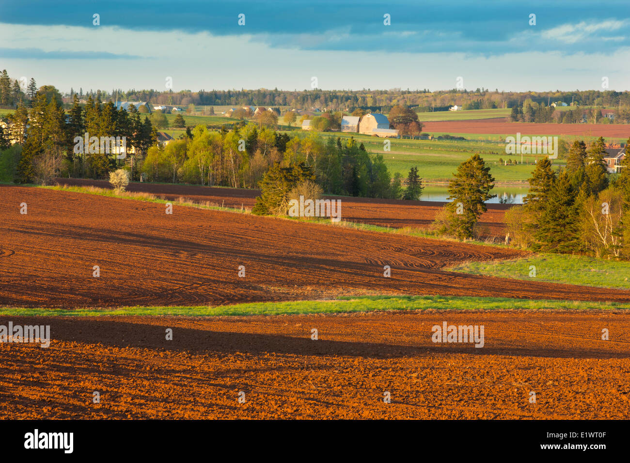 Ploughed potatoe field, St. Catherines, Prince Edward Island, Canada ...