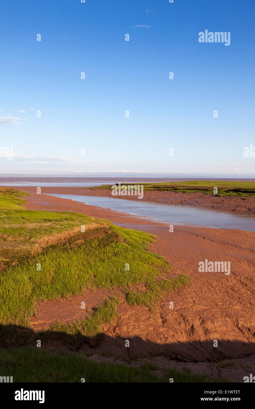 Shepody New Brunswick High Resolution Stock Photography and Images - Alamy