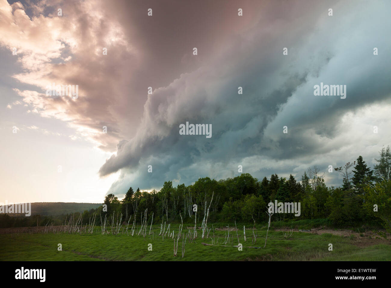 Shepody new brunswick hi-res stock photography and images - Alamy
