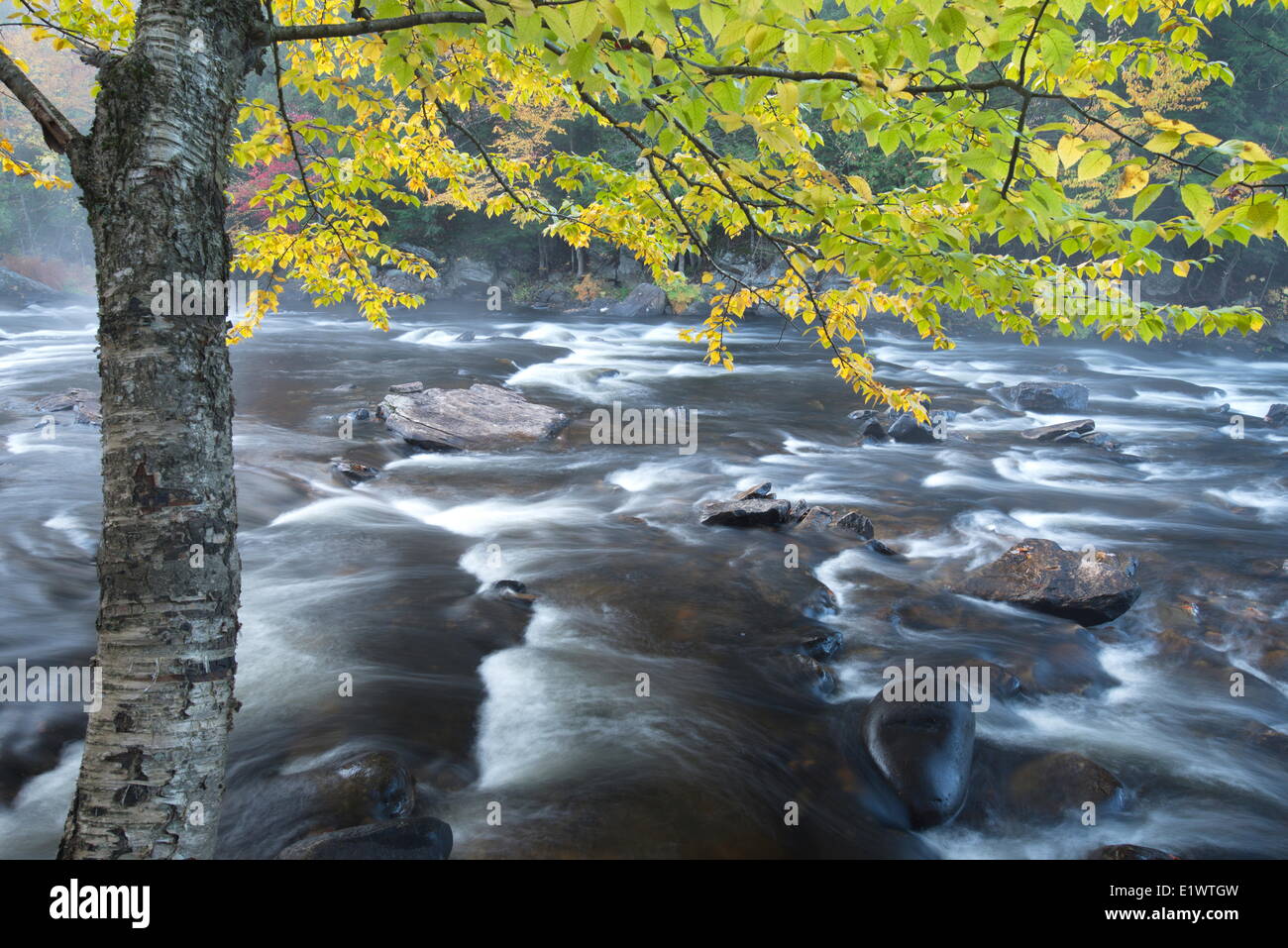 Muskoka rocks hi-res stock photography and images - Alamy