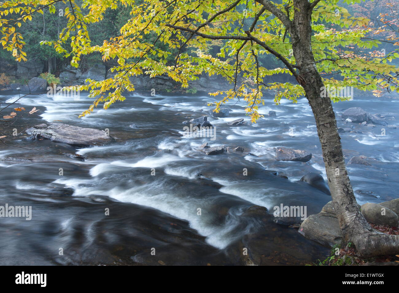 Autumn Scene on the Oxtonge River, Muskoka, Ontario, Canada Stock Photo ...