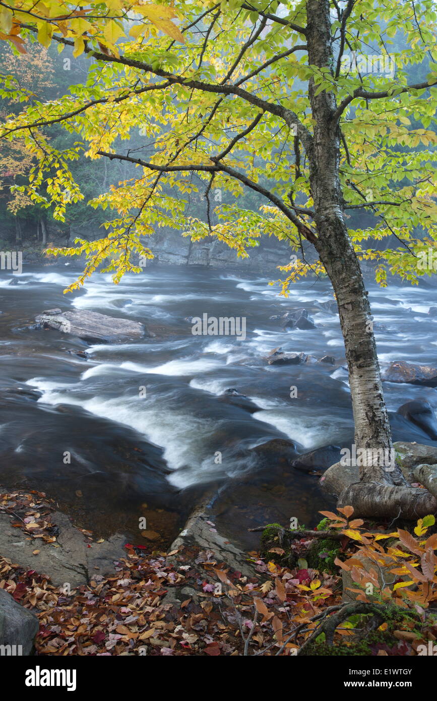 Duff river hi-res stock photography and images - Alamy