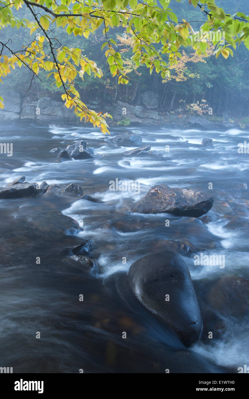 Autumn Scene on the Oxtonge River, Muskoka, Ontario, Canada Stock Photo ...