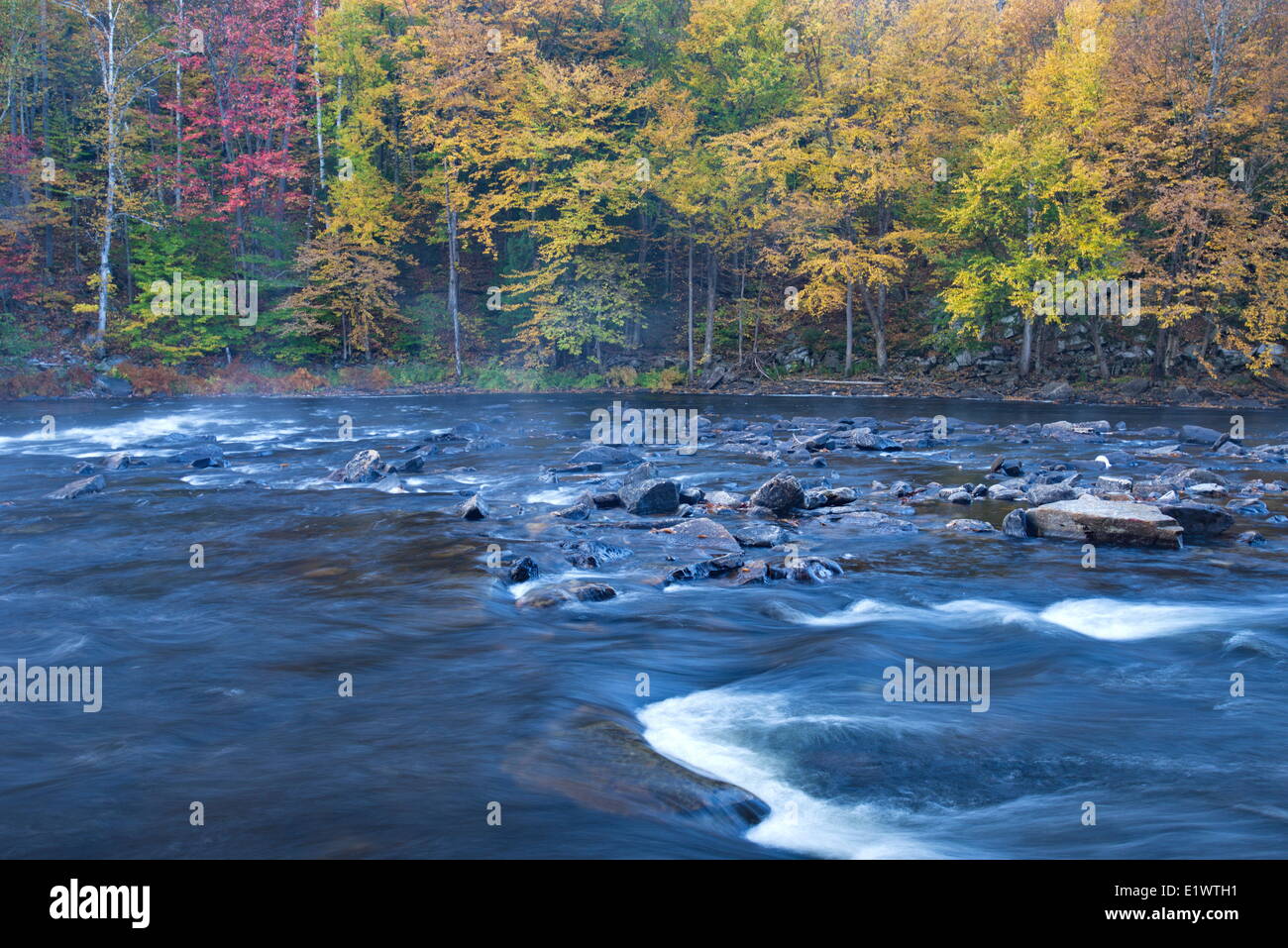 Muskoka rocks hi-res stock photography and images - Alamy