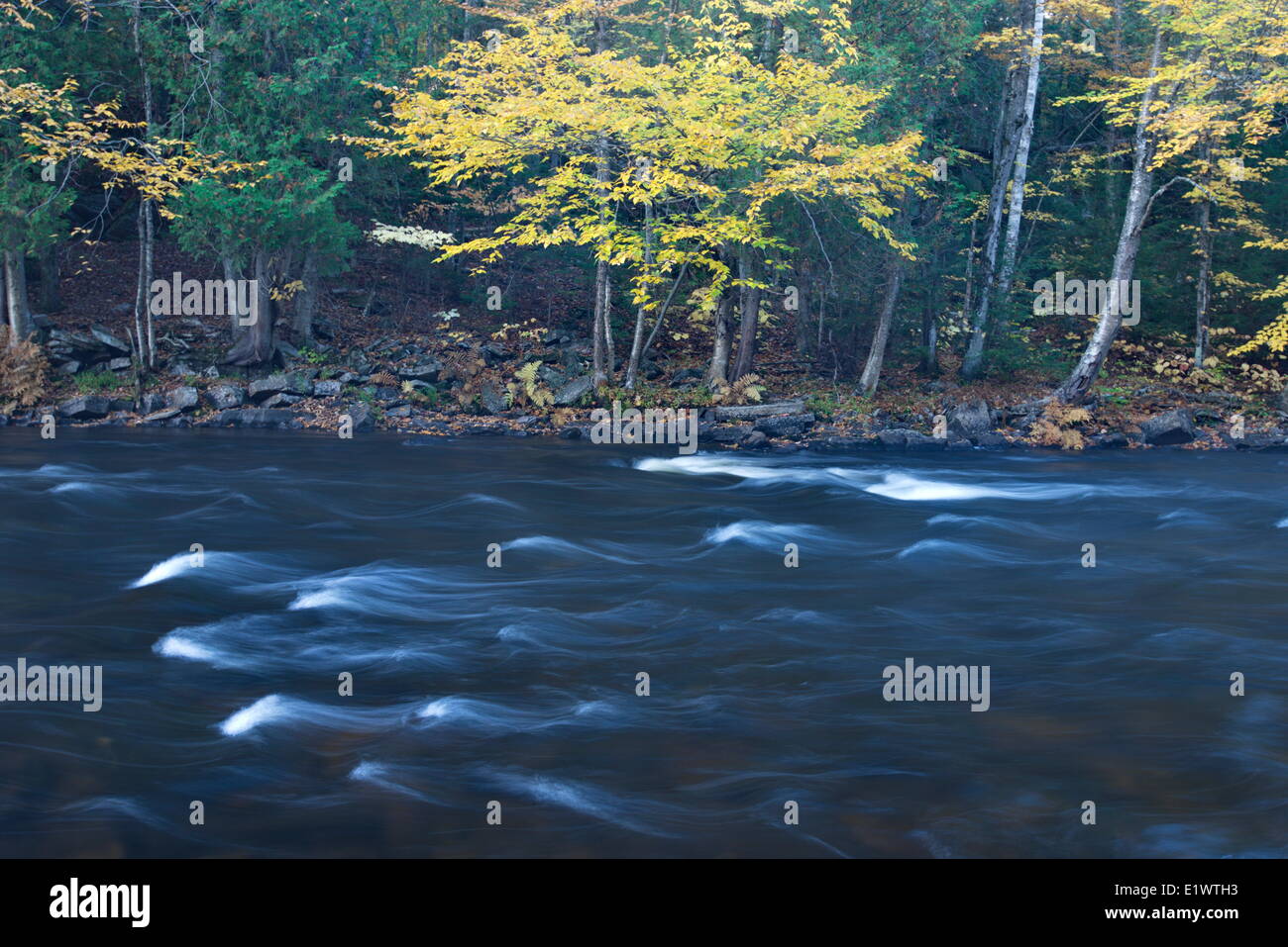 Autumn Scene on the Oxtonge River, Muskoka, Ontario, Canada Stock Photo ...
