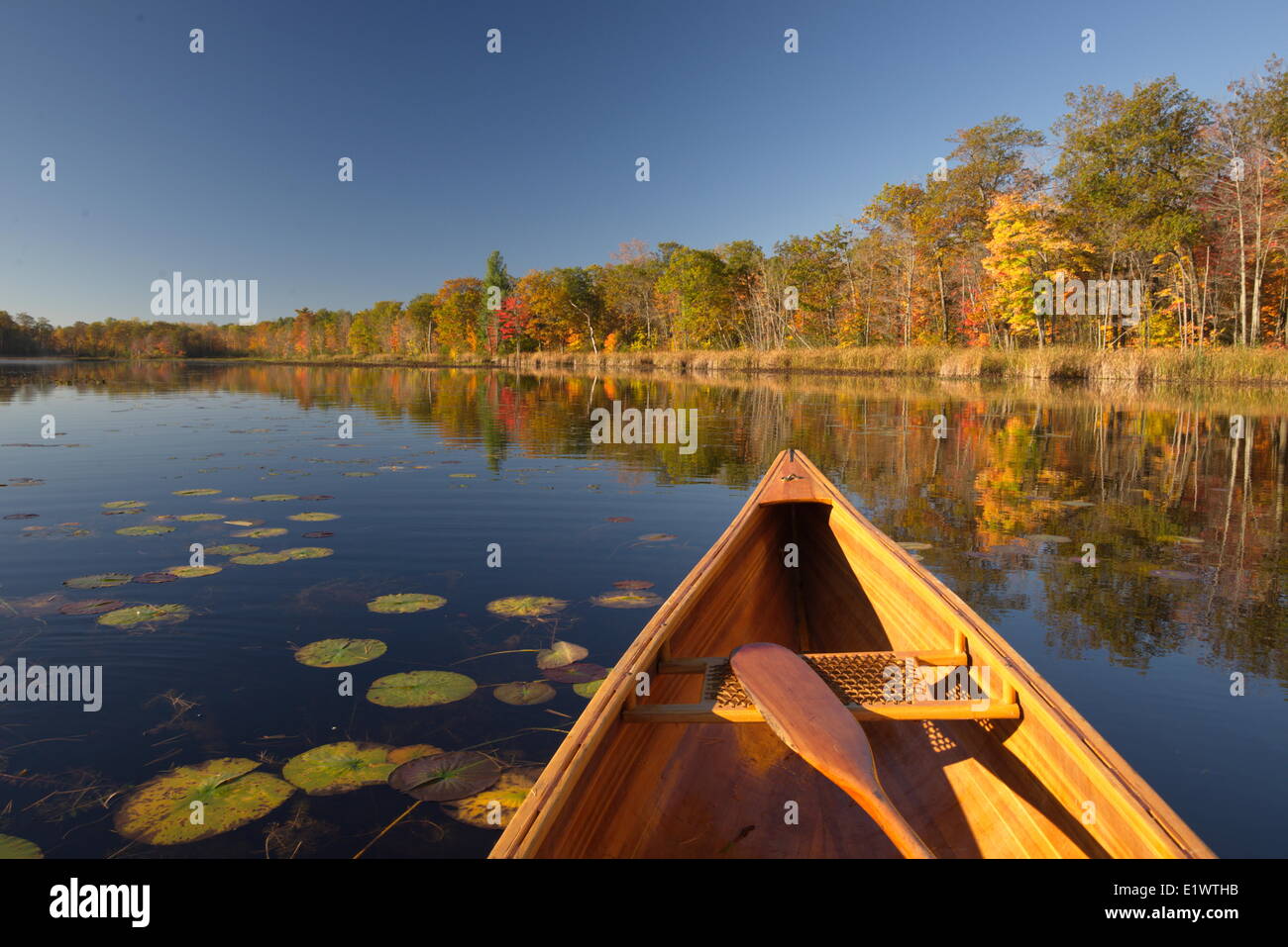 Fall scenery in muskoka hi-res stock photography and images - Alamy