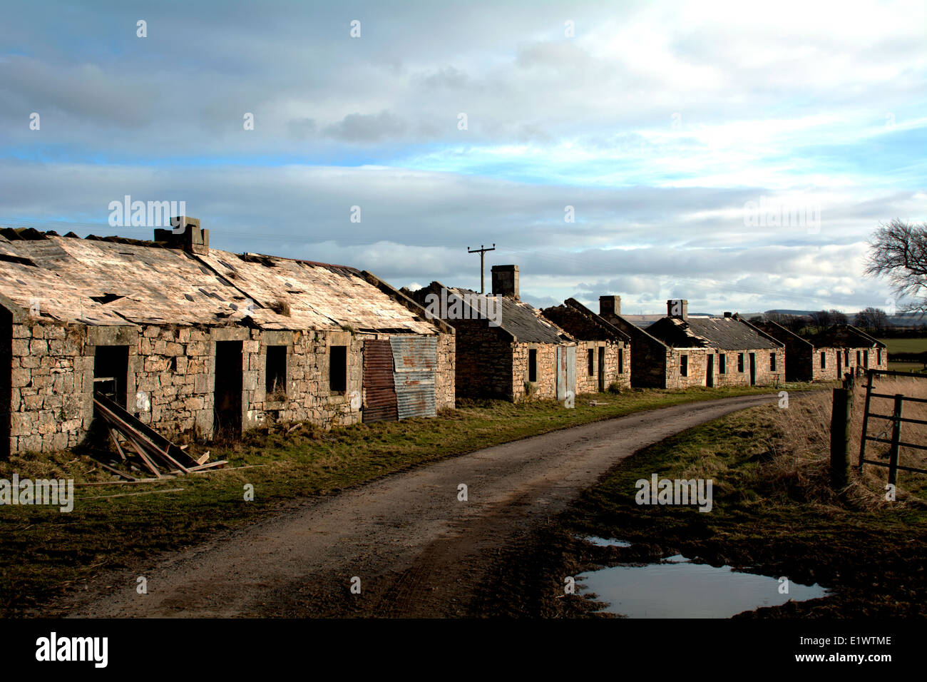 Derelict and abandoned farm worker's cottages Stock Photo - Alamy