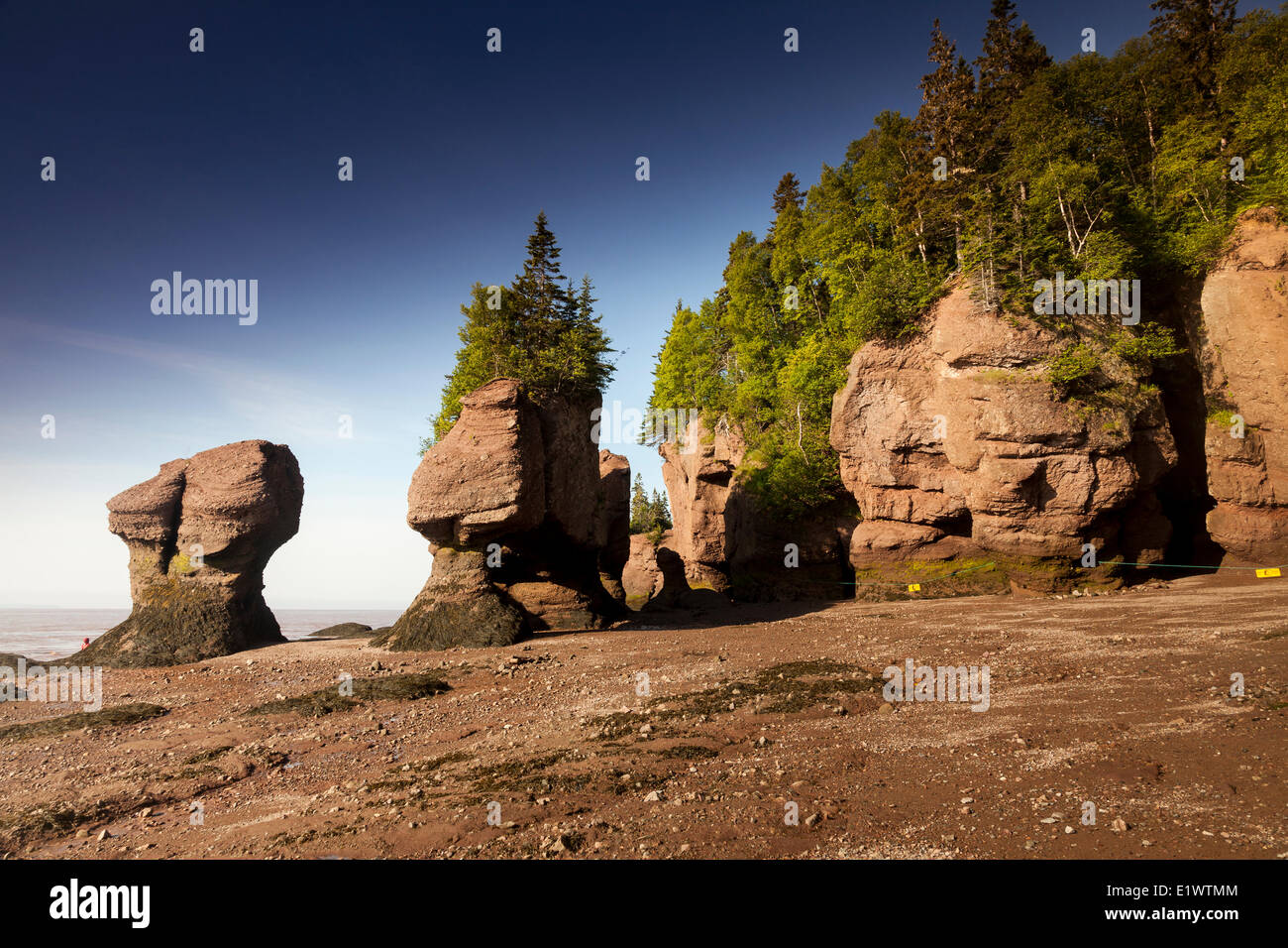 Shepody New Brunswick High Resolution Stock Photography and Images - Alamy