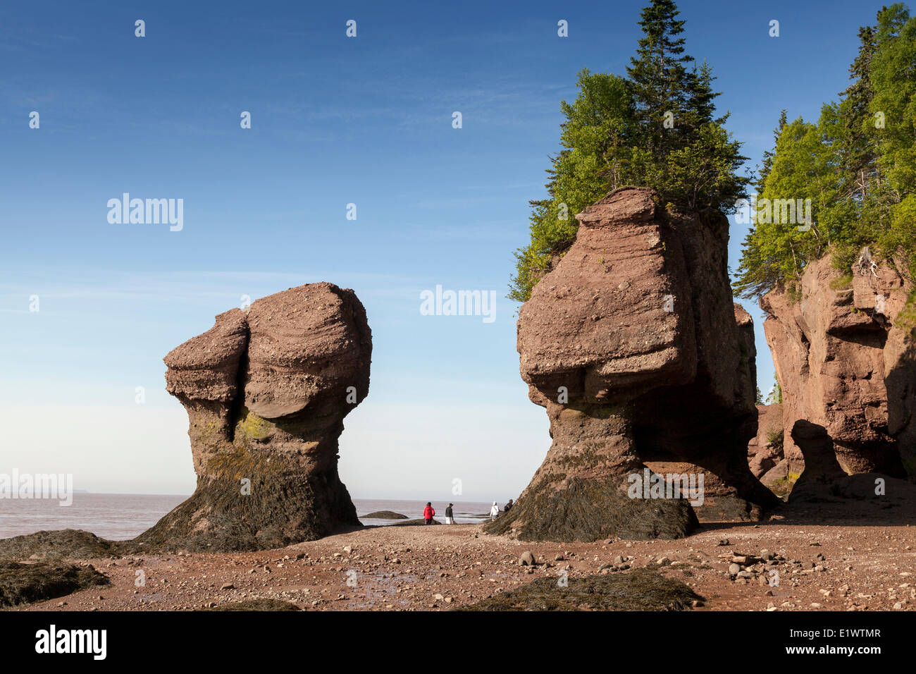 Shepody new brunswick hi-res stock photography and images - Alamy