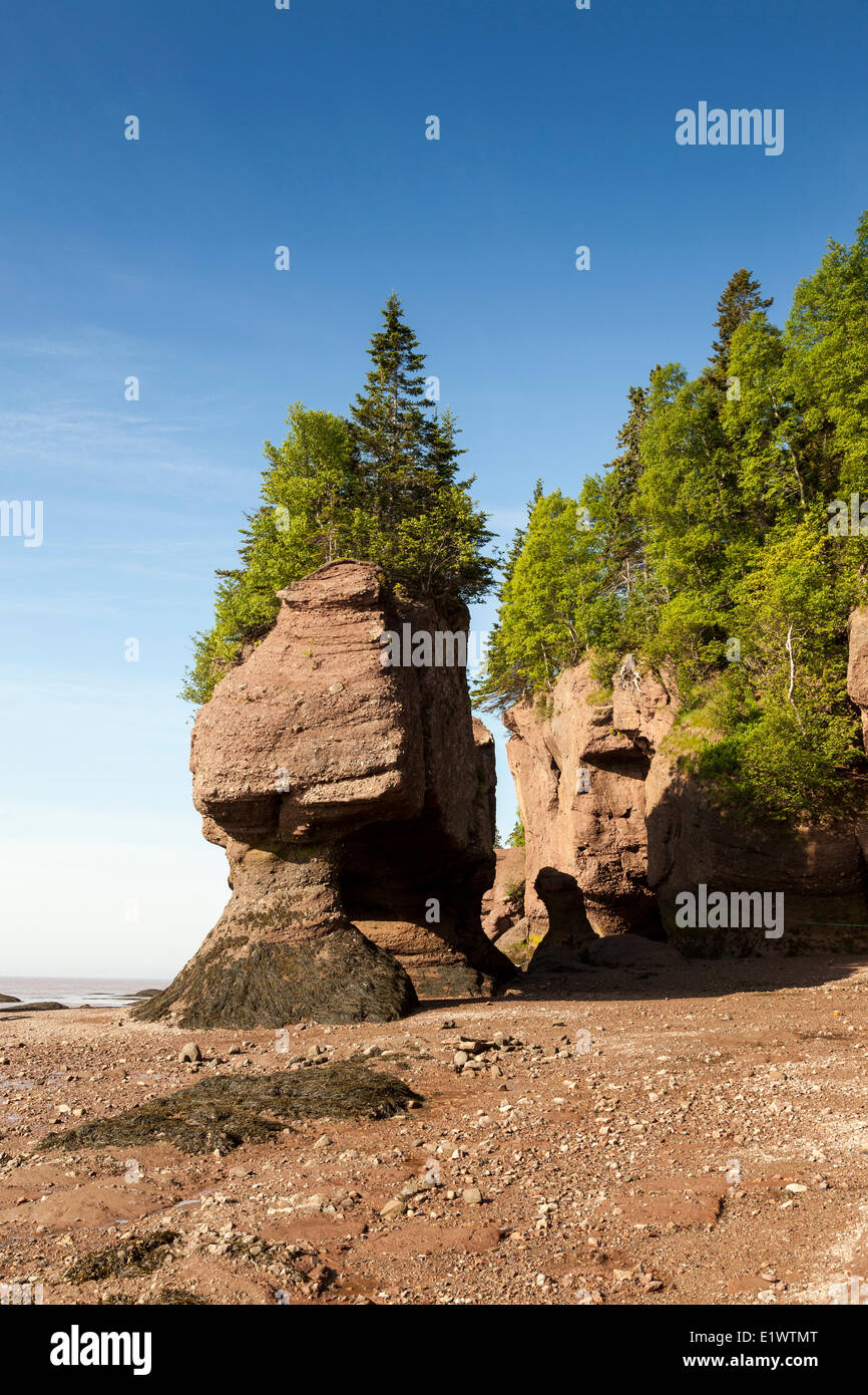 Shepody new brunswick hi-res stock photography and images - Alamy