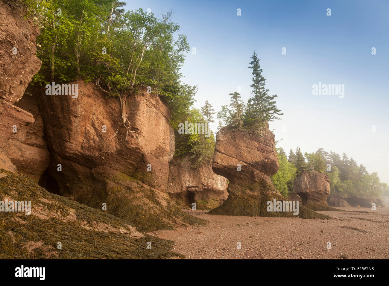 Shepody New Brunswick High Resolution Stock Photography and Images - Alamy