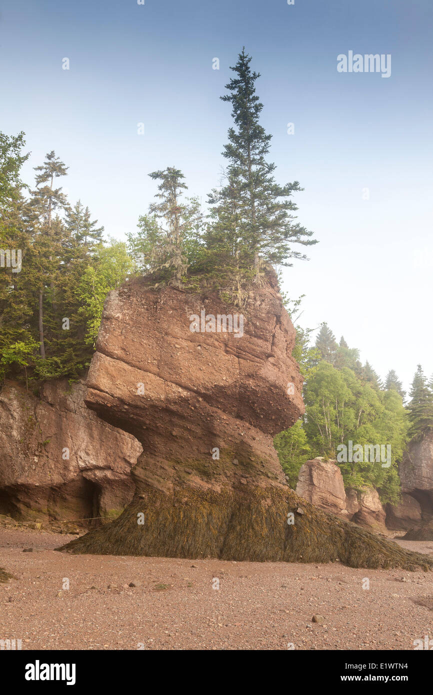 Shepody new brunswick hi-res stock photography and images - Alamy