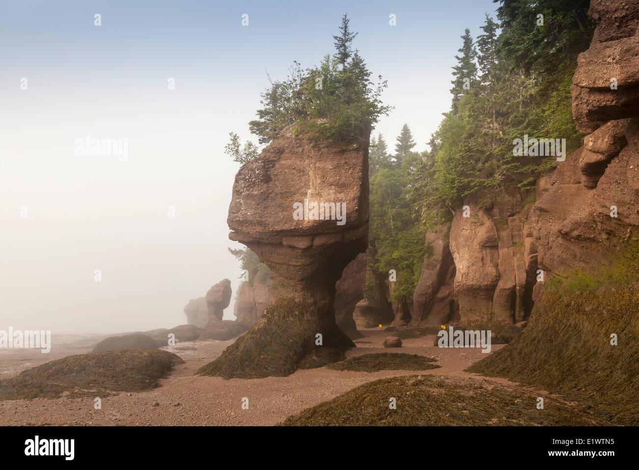 Shepody new brunswick hi-res stock photography and images - Alamy