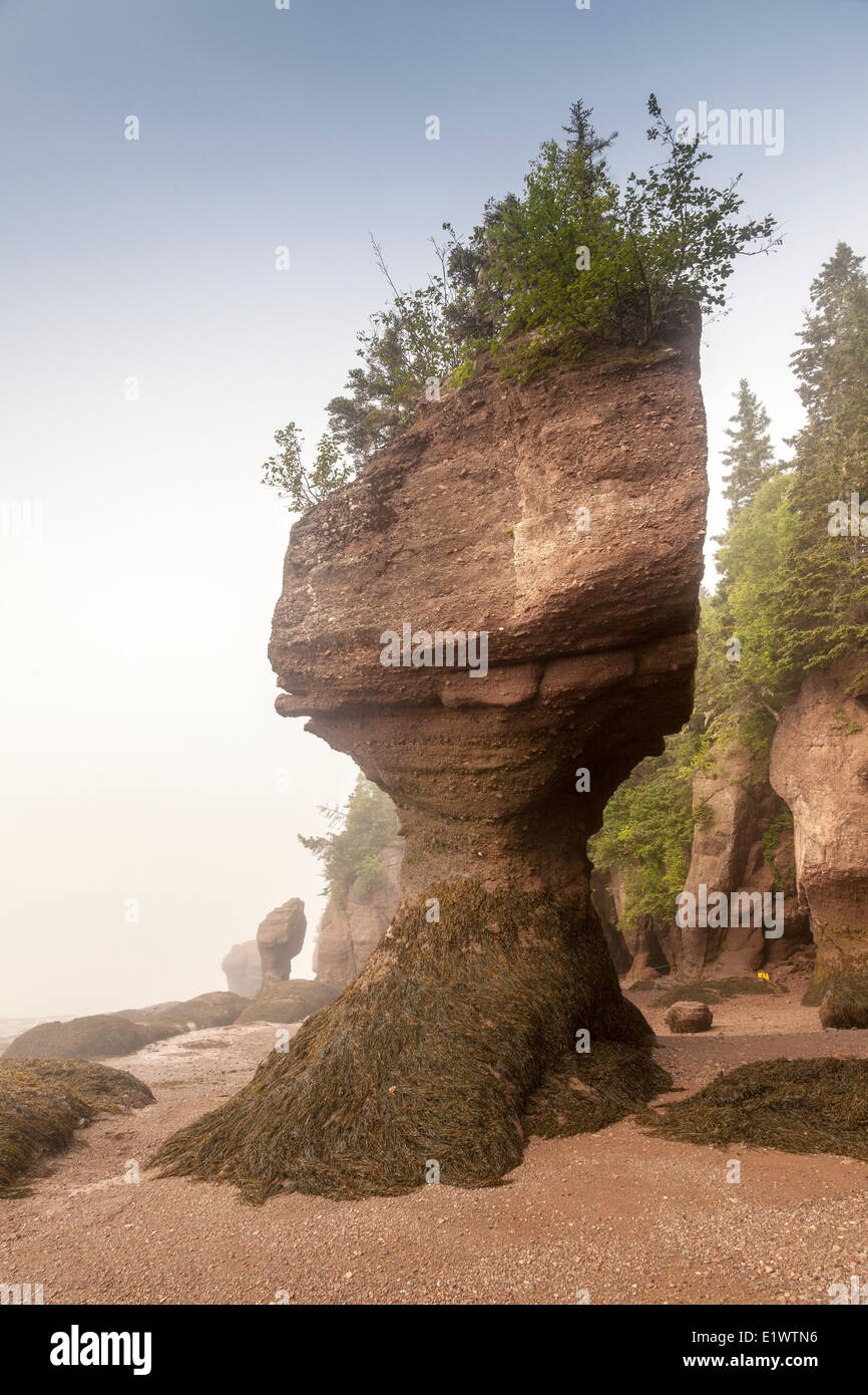 Shepody new brunswick hi-res stock photography and images - Alamy