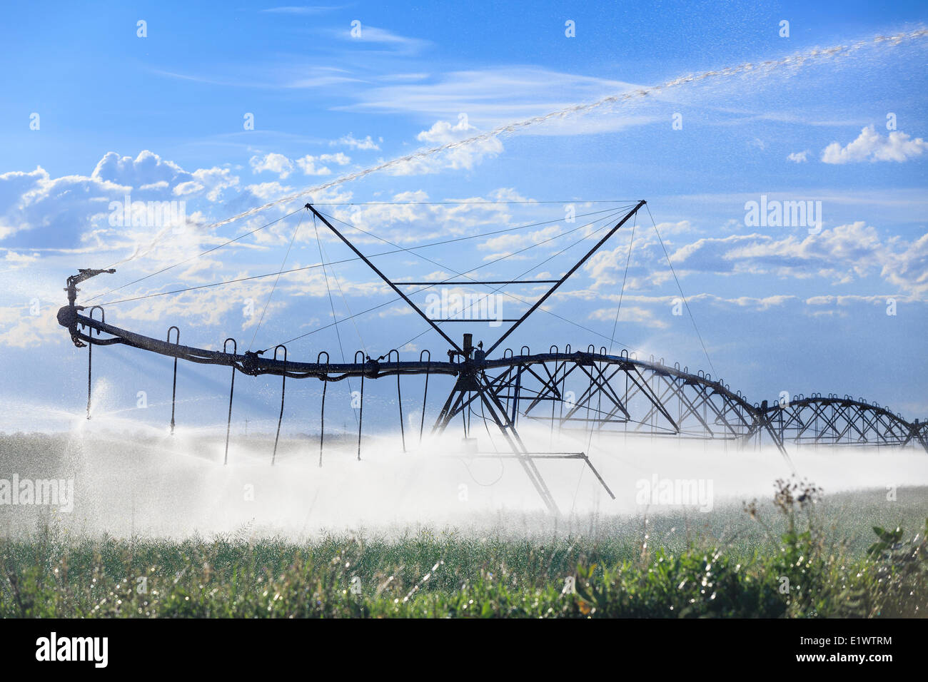 Central pivot irrigation hi-res stock photography and images - Alamy