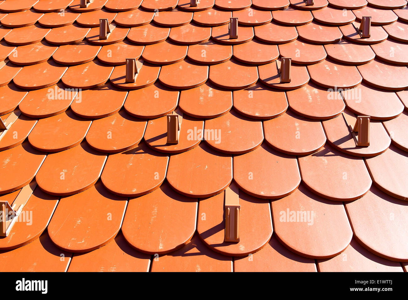 Roof tiles shaped in the form of a beaver tail Stock Photo - Alamy