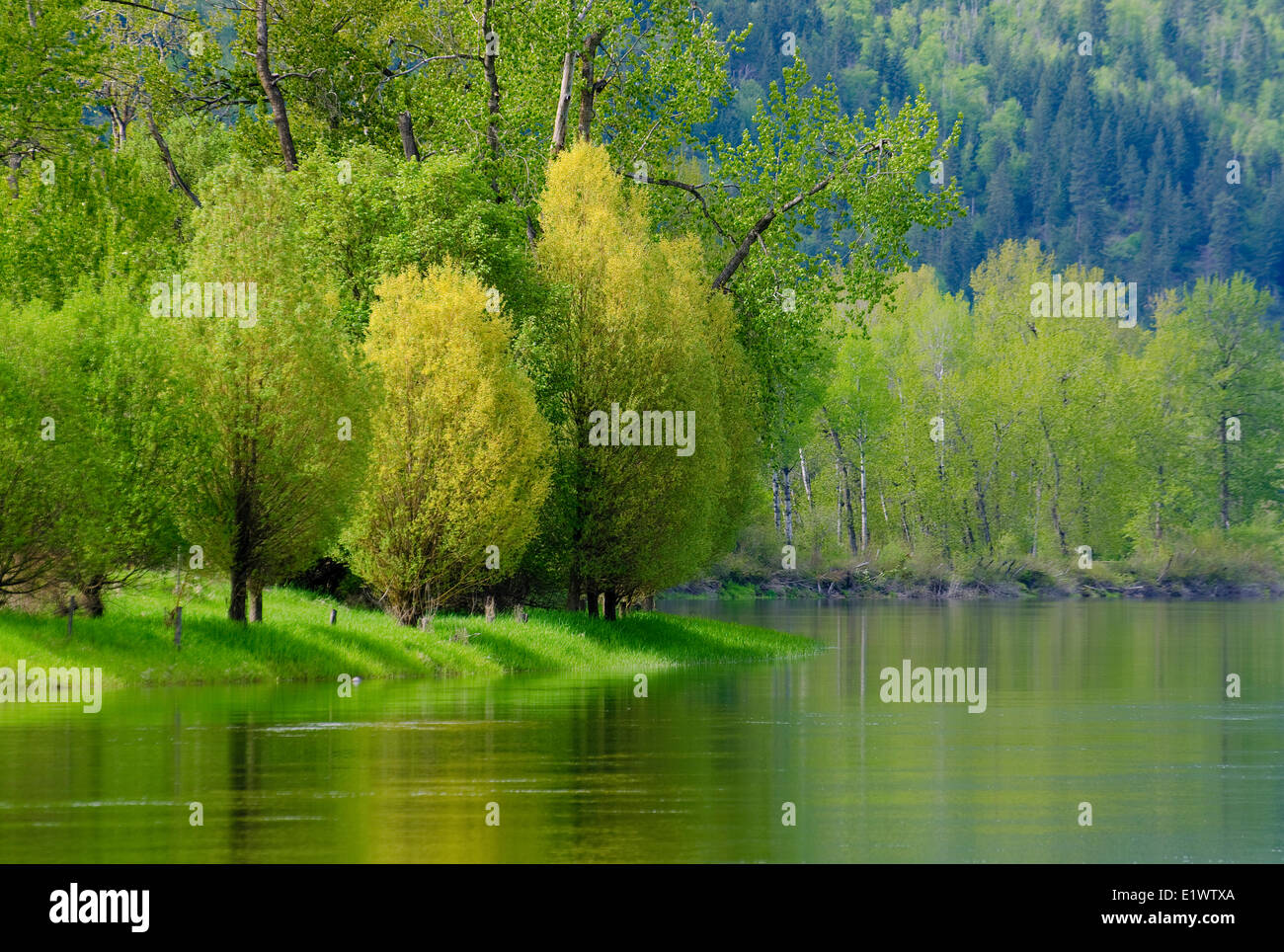Shuswap river hi-res stock photography and images - Alamy