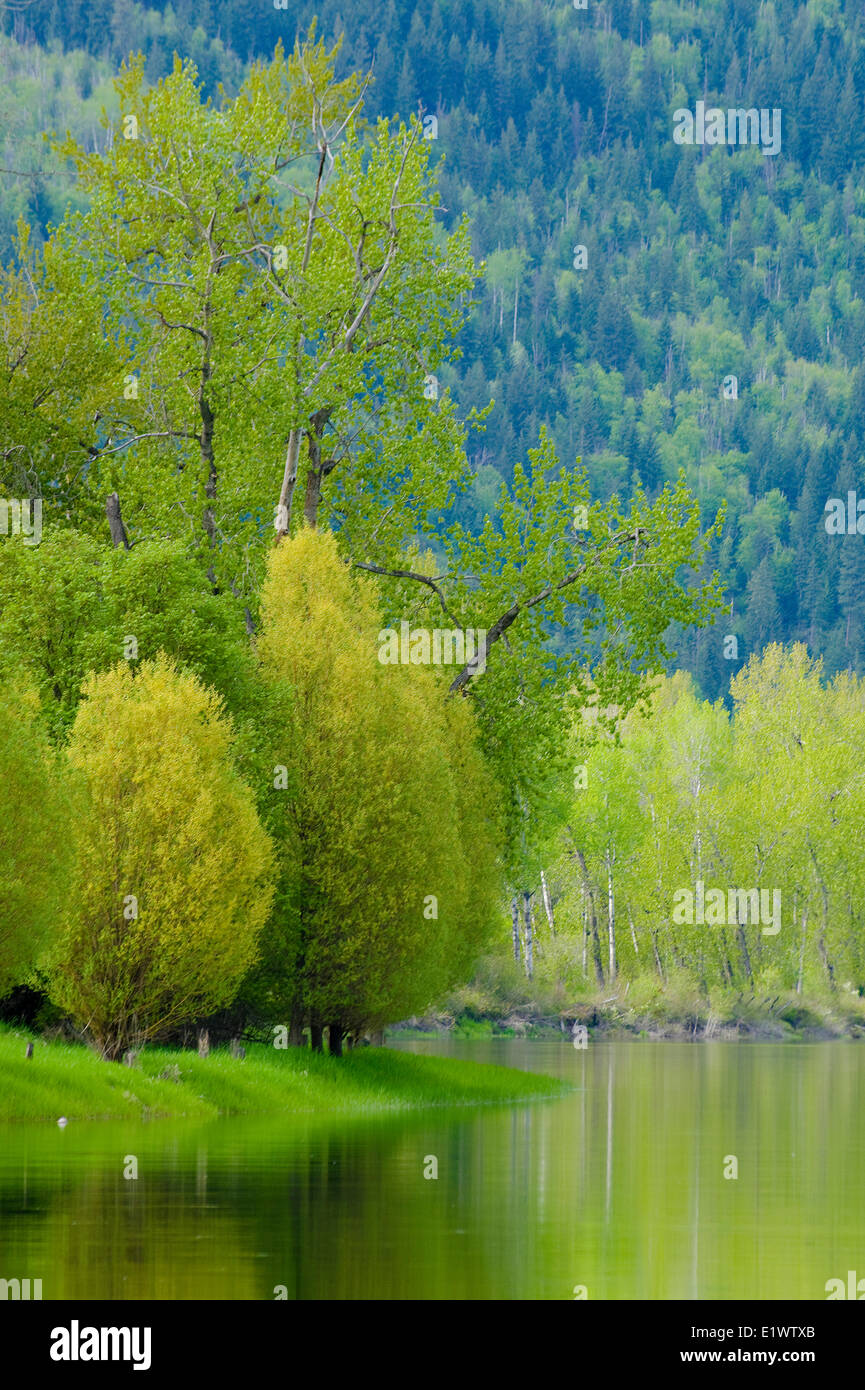 Shuswap river hi-res stock photography and images - Alamy