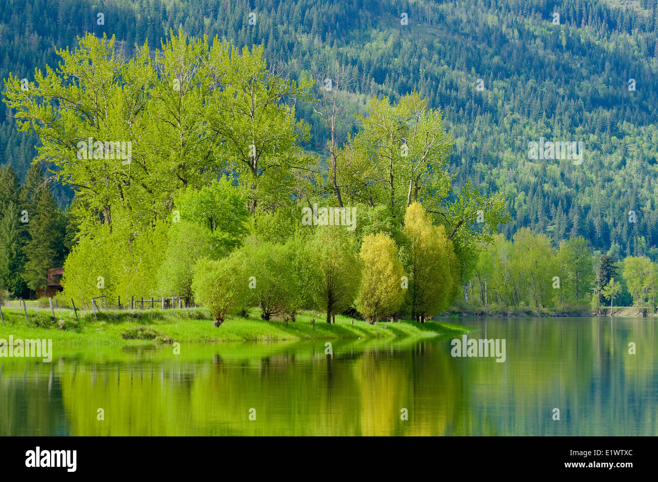 Shuswap river hi-res stock photography and images - Alamy