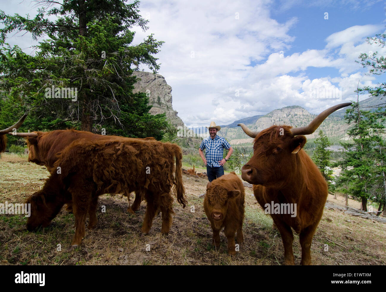 Oliver tree cowboy hi-res stock photography and images - Alamy