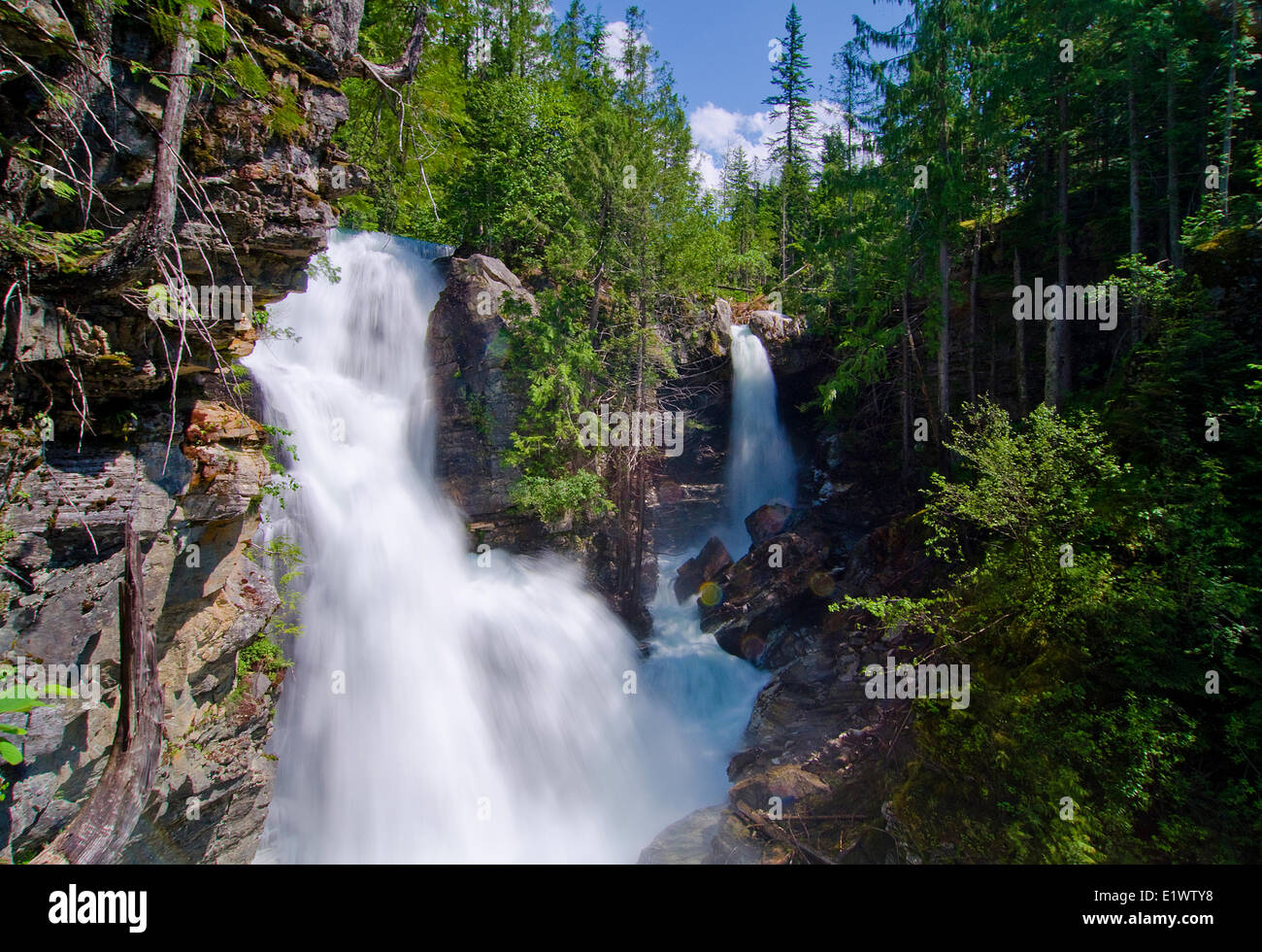 Cascades frog hi-res stock photography and images - Alamy