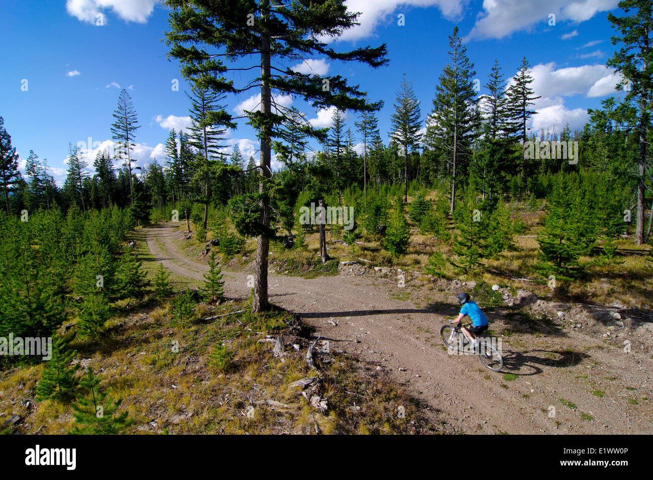 Princeton British Columbia High Resolution Stock Photography and Images ...