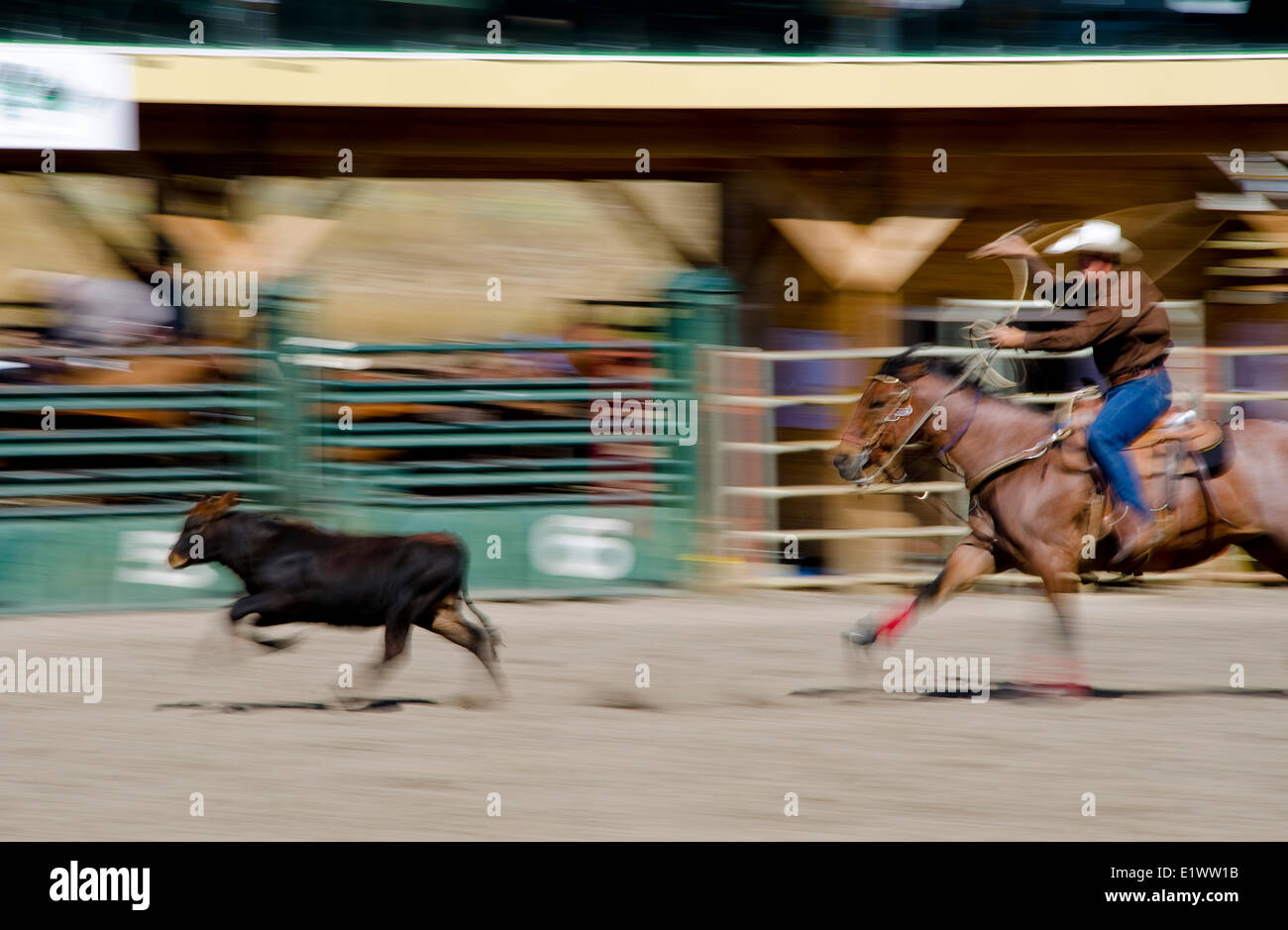 Merritt Rodeo, Merritt, British Columbia, Canada Stock Photo - Alamy