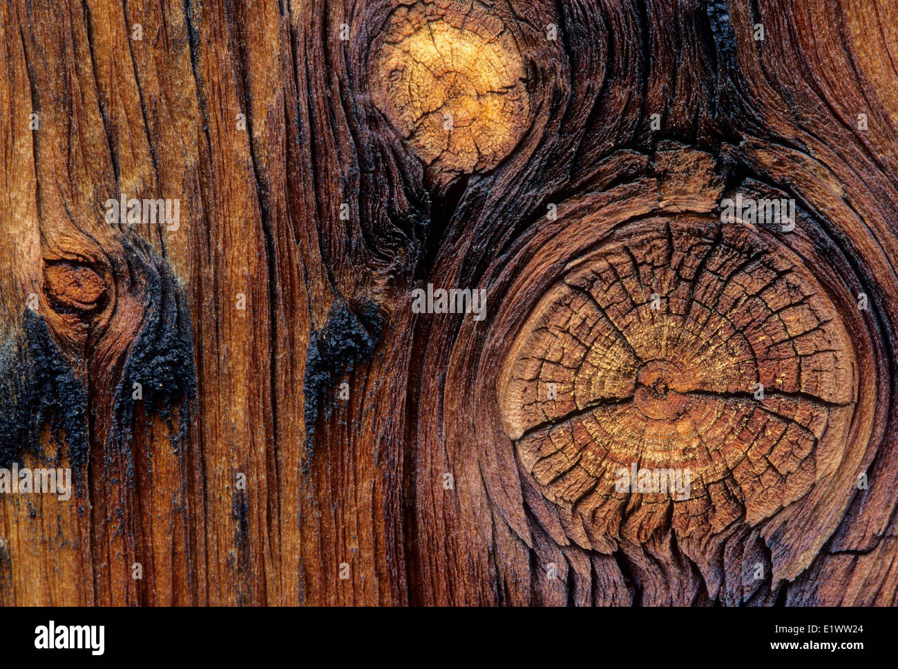 Aged Lumber showing the effects of many years of exposure to different ...