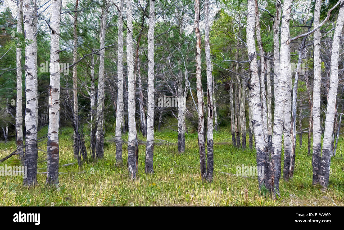 Flora of yellowstone national park hi-res stock photography and images ...