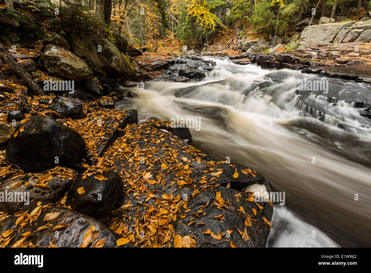 The York River flows along the High Falls trail in the south end ...