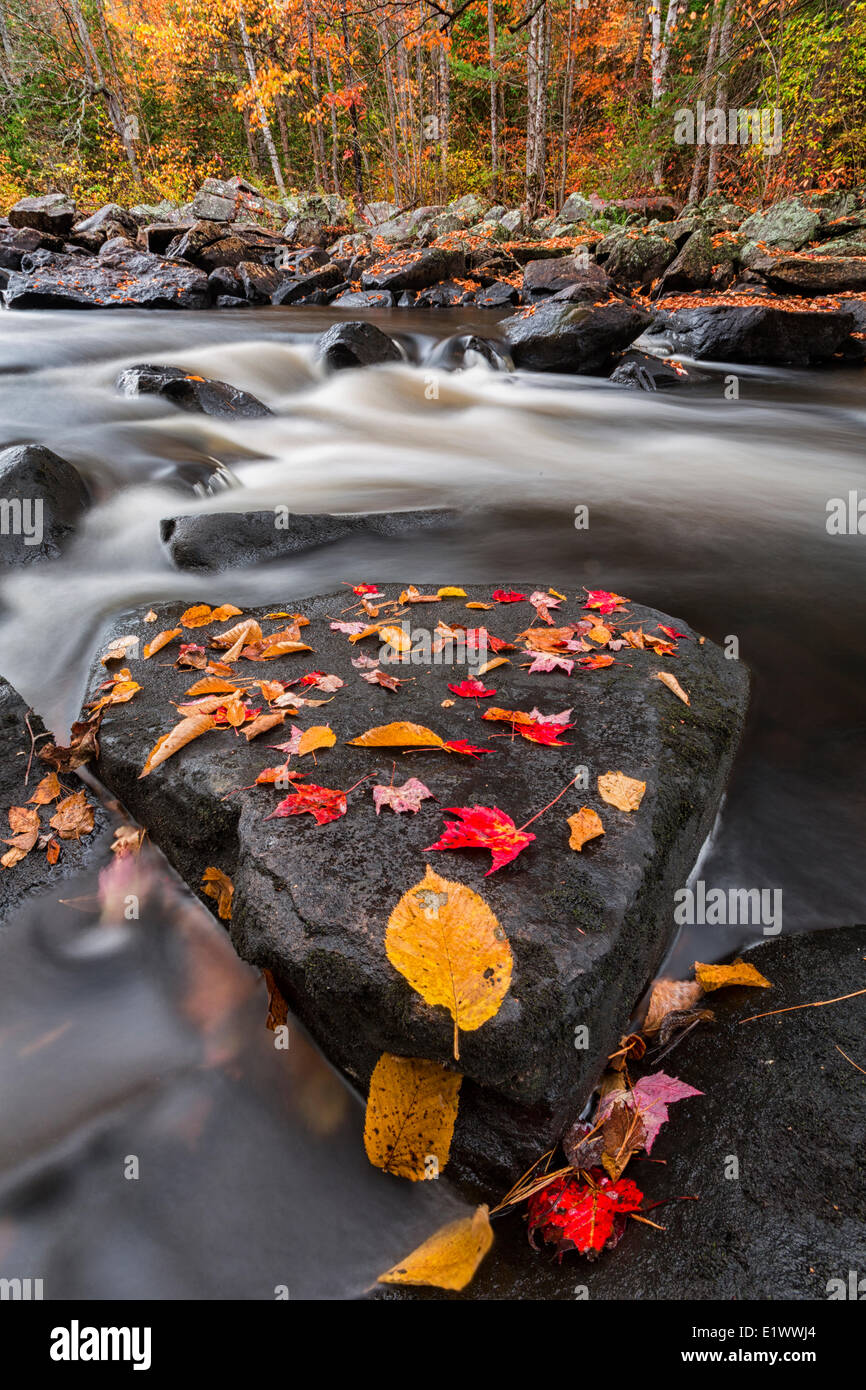 The York River flows along the High Falls trail in the south end ...