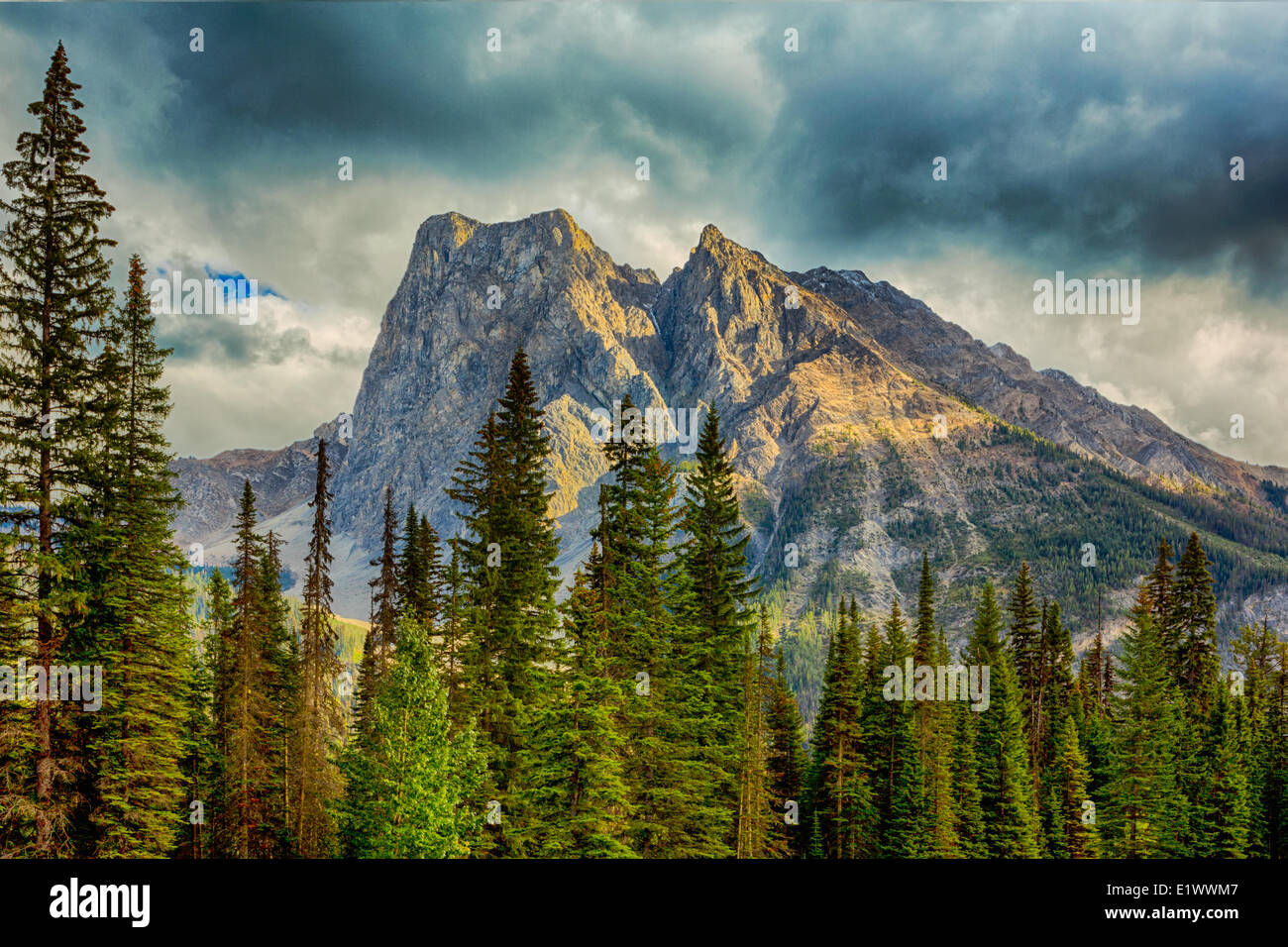 Mount Burgess, Yoho National Park, British Columbia, Canada Stock Photo ...