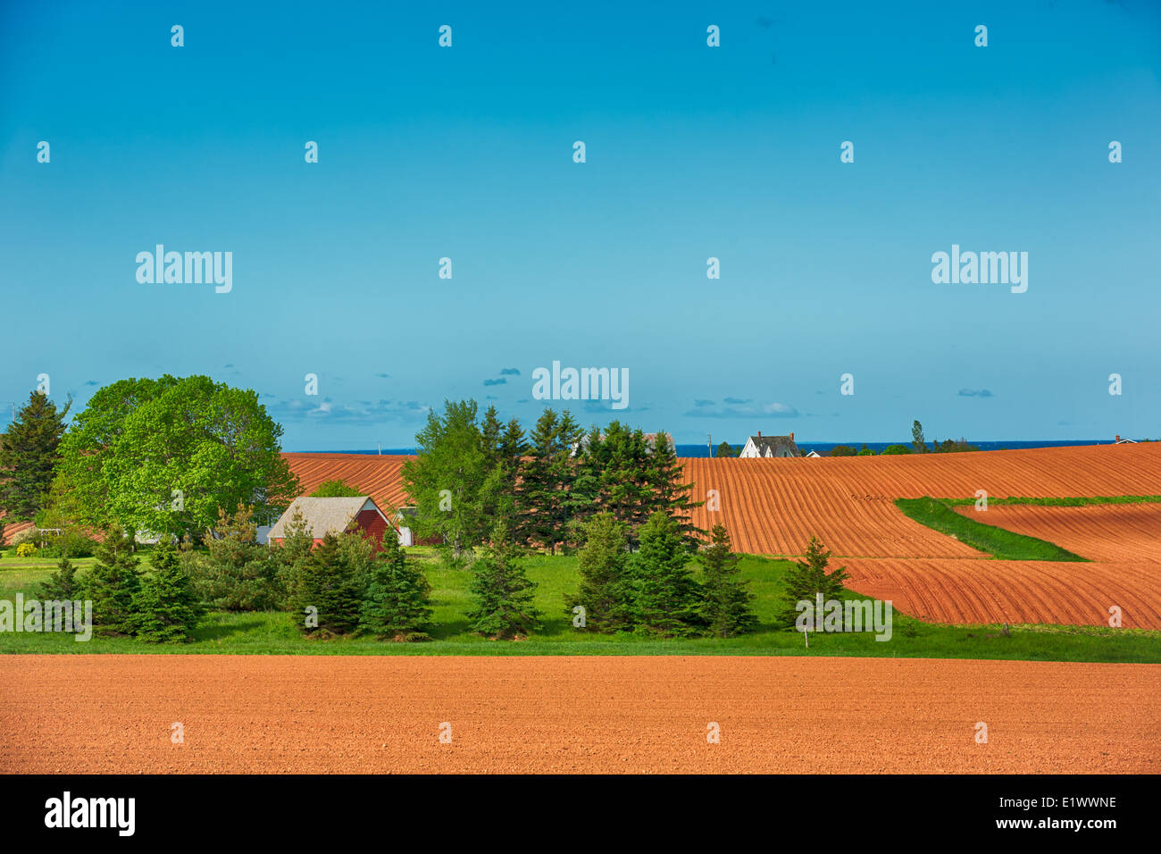 Ploughed fields in spring, Hampton, Prince Edward Island, Canada Stock ...