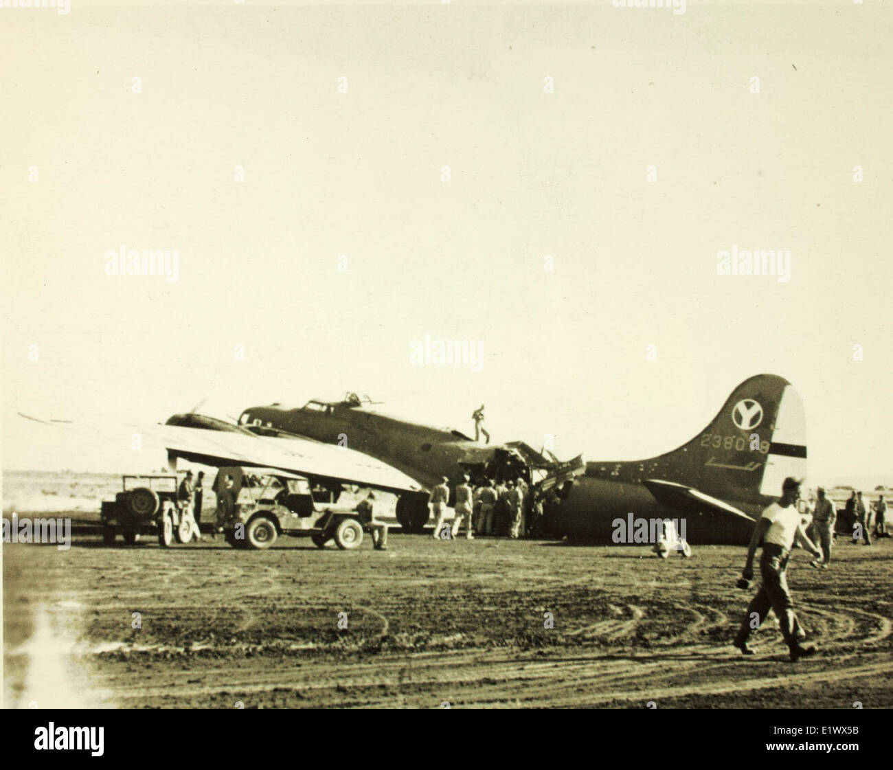 The 2nd Bomb Group of the 15th Air Force operated Boeing B-17 Flying ...
