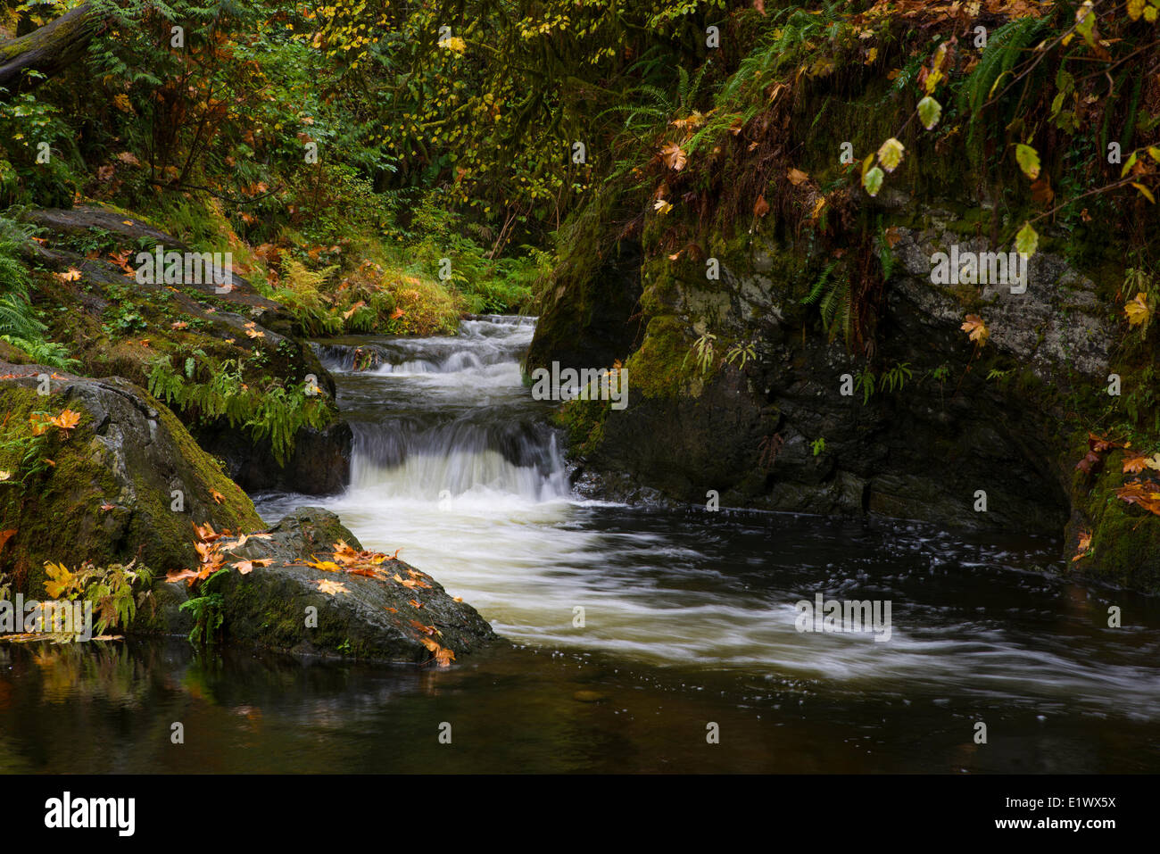 Waterfall at Goldstream Provincial Park - Victoria BC Stock Photo - Alamy