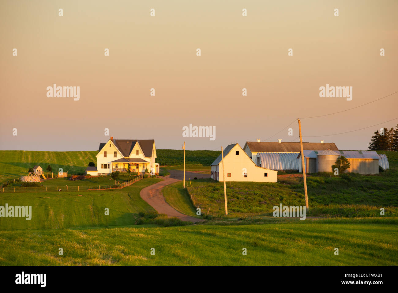 Farm, New Haven, Prince Edward Island, Canada Stock Photo - Alamy