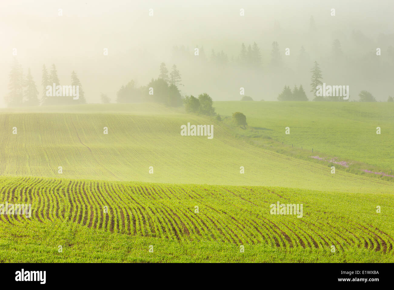 The clyde river hi-res stock photography and images - Alamy