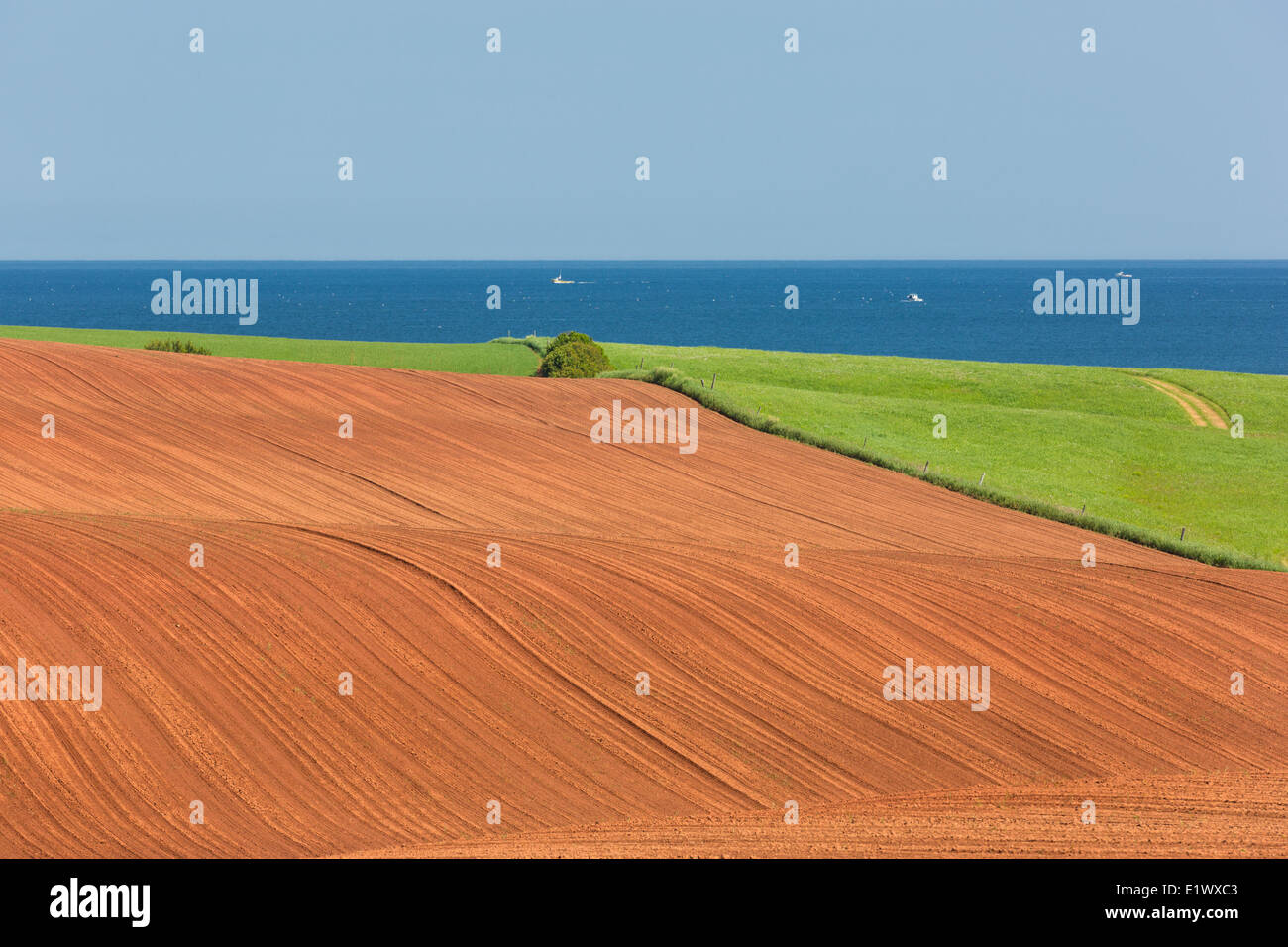 Spring ploughed fields, Park Corner, Prince Edward Island, Canada Stock ...